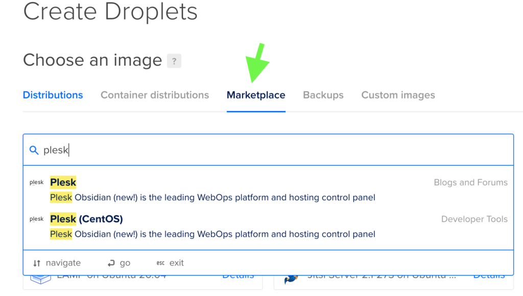 Ultimate Plesk Tutorials for Absolute Beginners 2021